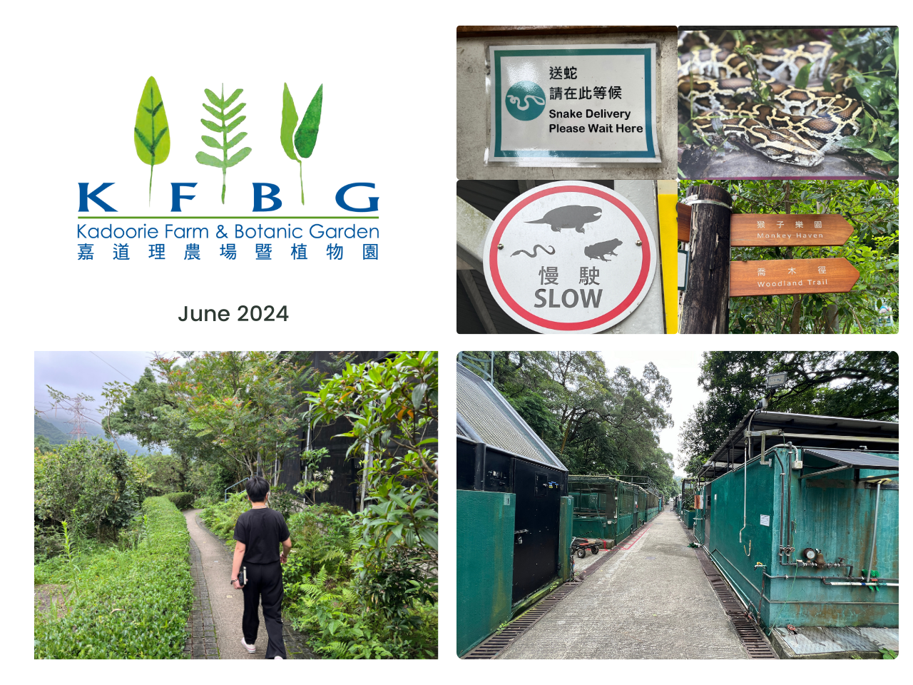 Kadoorie Farm & Botanic Garden - conserving Hong Kong's flora and faun ...