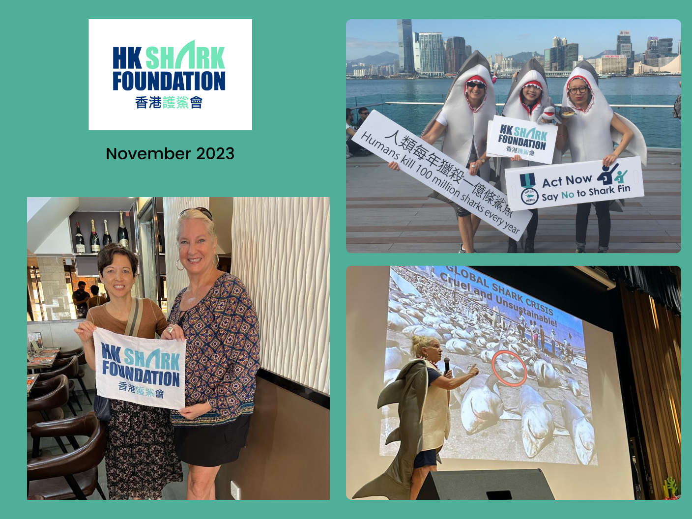 Hong Kong Shark Foundation - promoting shark conservation – Charitable ...